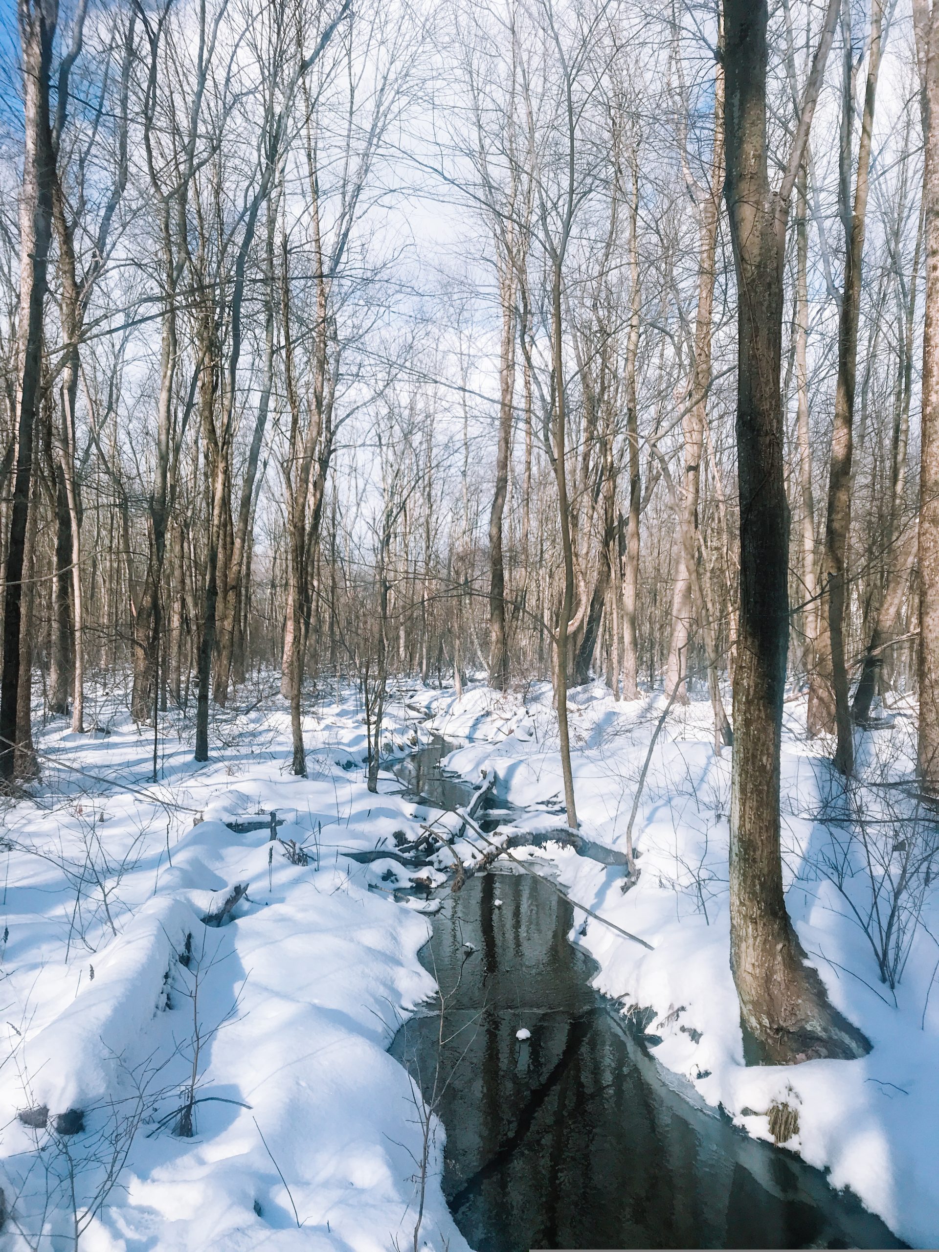 Embracing the Snow at Art Omi - Enlightened by Bravery
